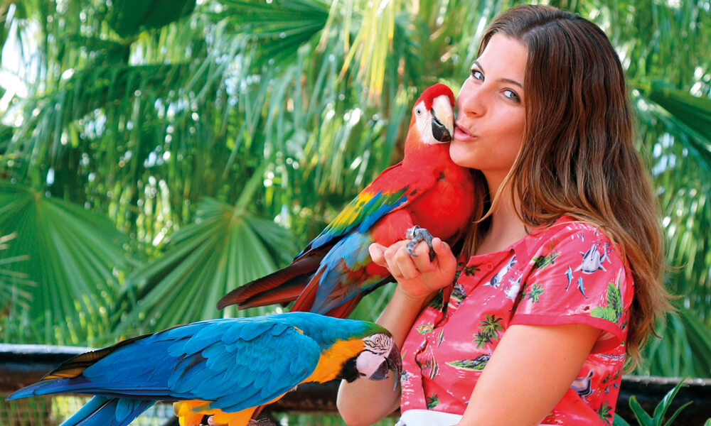 Parques de animales para grandes y pequeños en España - El blog de Aladinia