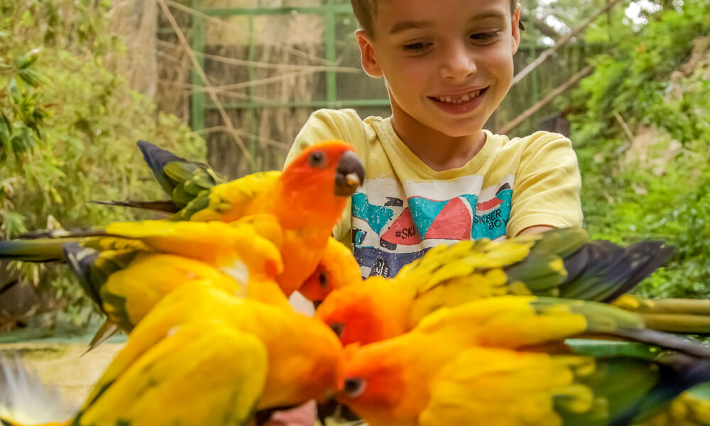 Parques de animales para grandes y pequeños en España - El blog de Aladinia